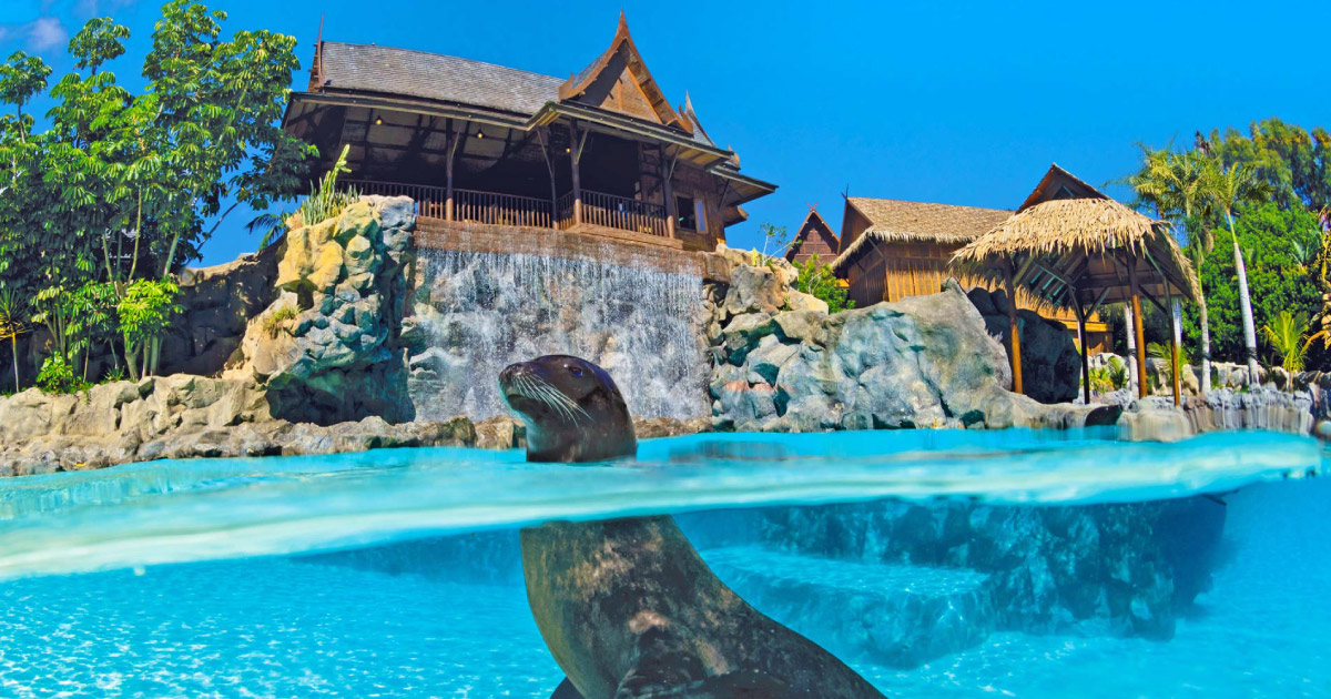 Sea Lion Island - Sea Lion Pool